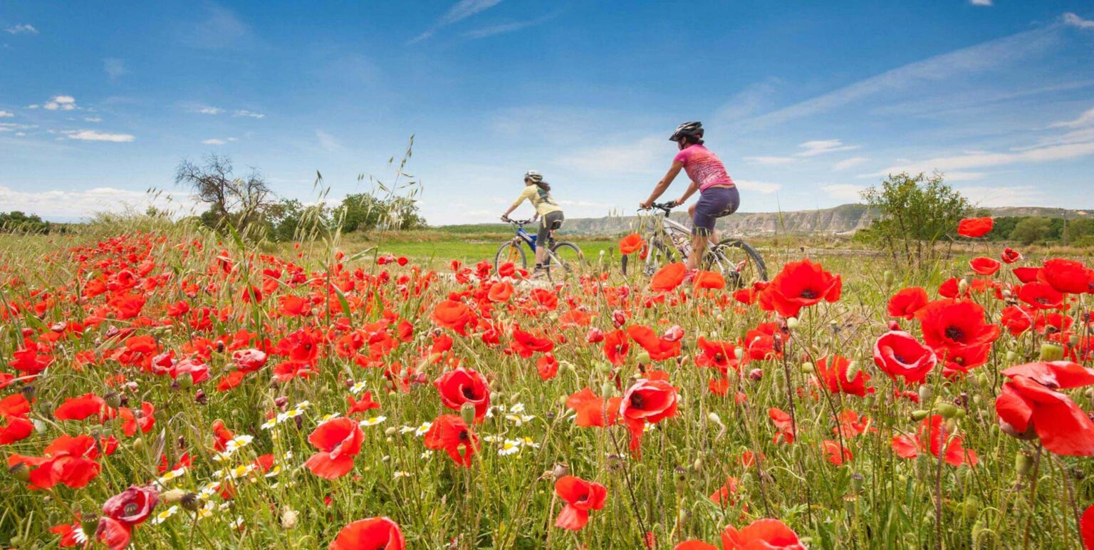 Ara Lleida - Ara Lleida