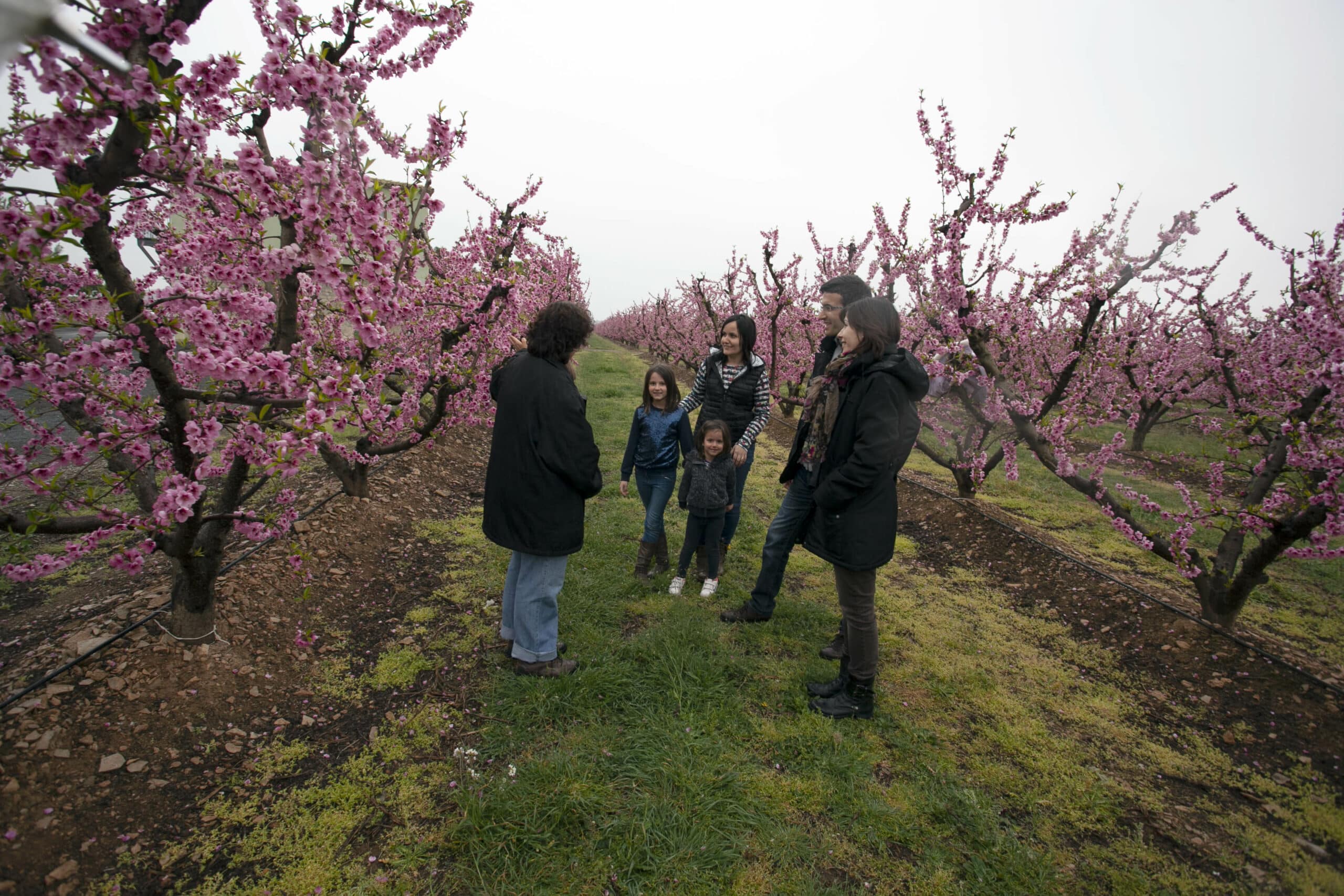 Les comarques de Lleida reben quasi 17 milions dels fons Next ...