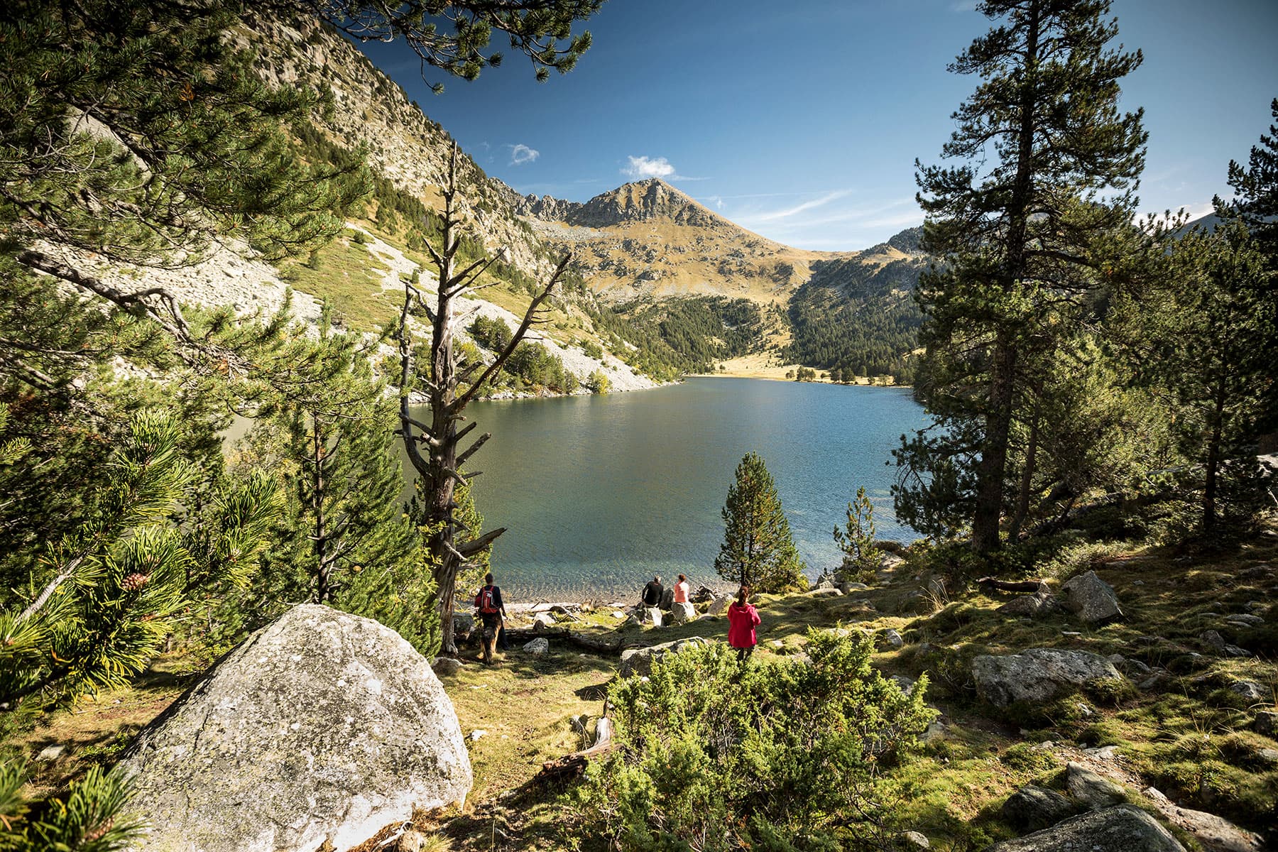 Ara Lleida - Ara Lleida