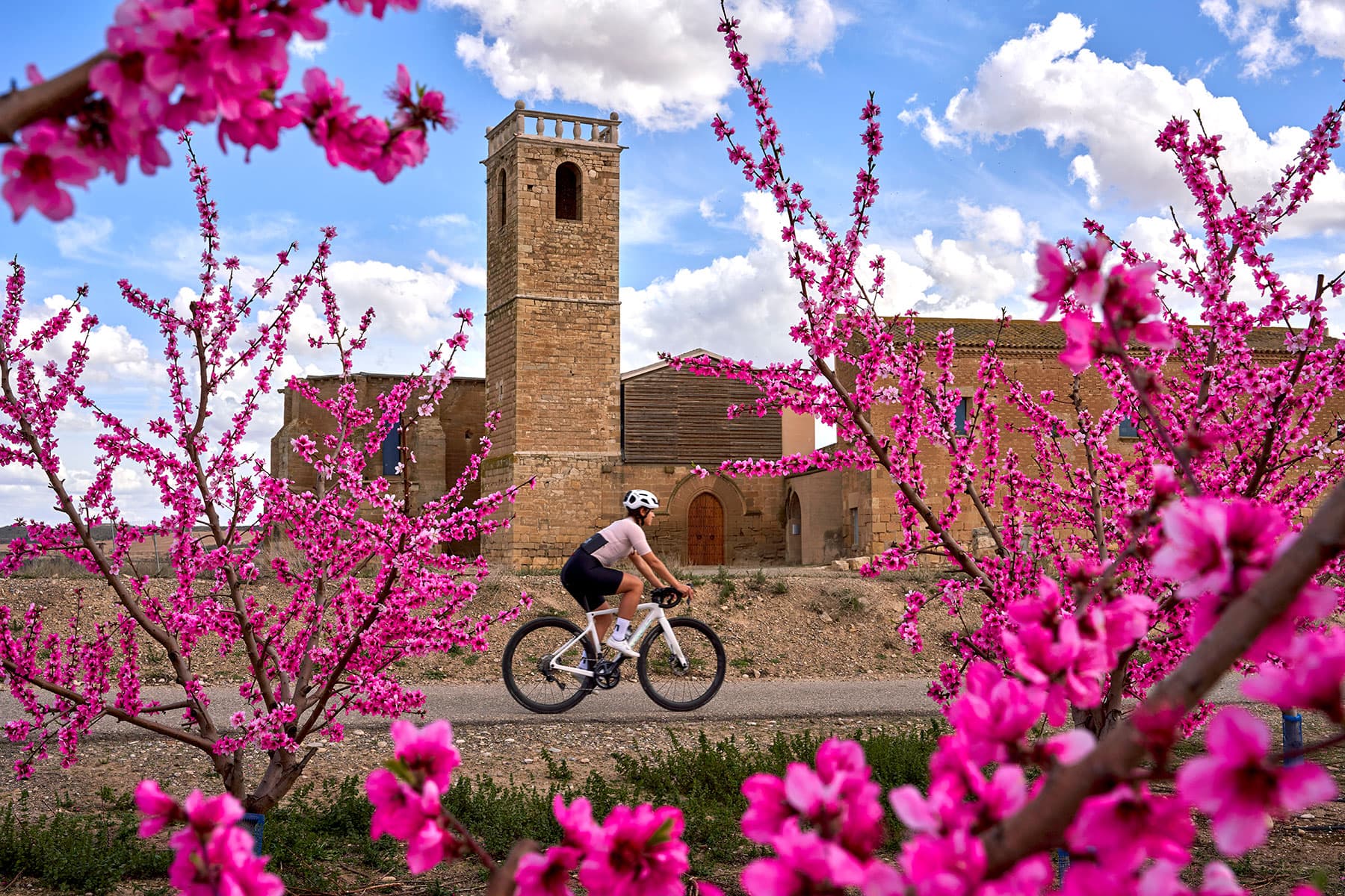 Ara Lleida - Ara Lleida